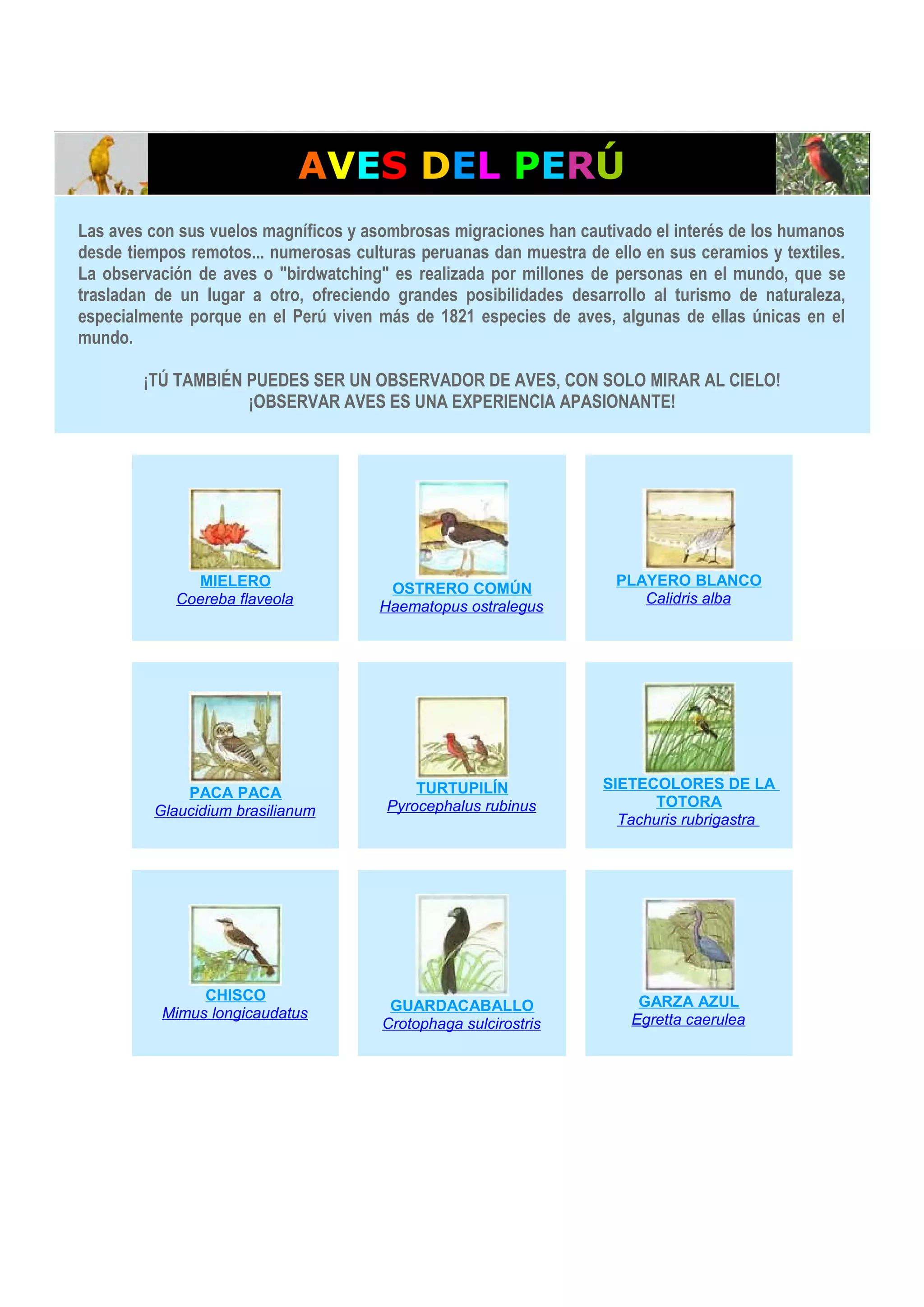 Aves del perú | DOC