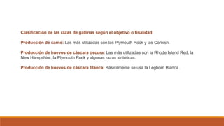 Aves de postura avj.pptx