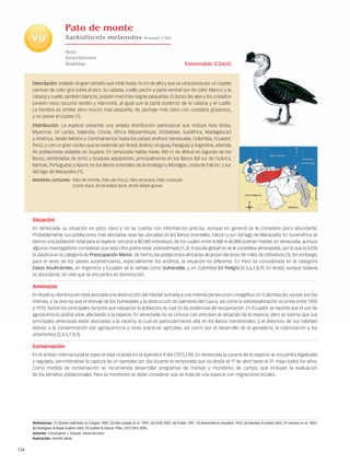 Aves de venezuela del libro rojo | PDF | South America Travel | Travel ...