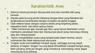 vertebrata biologi AVES I_ KELOMPOK 7.pptx