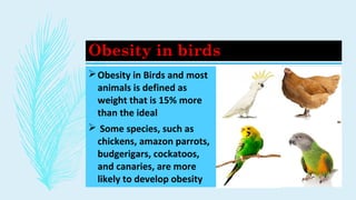 Aves obesity | PPT | Birds | Pets