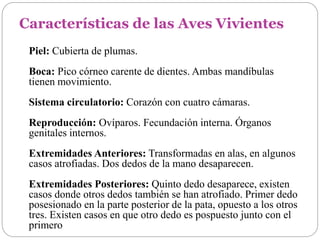 Aves ornamentales | PPTX