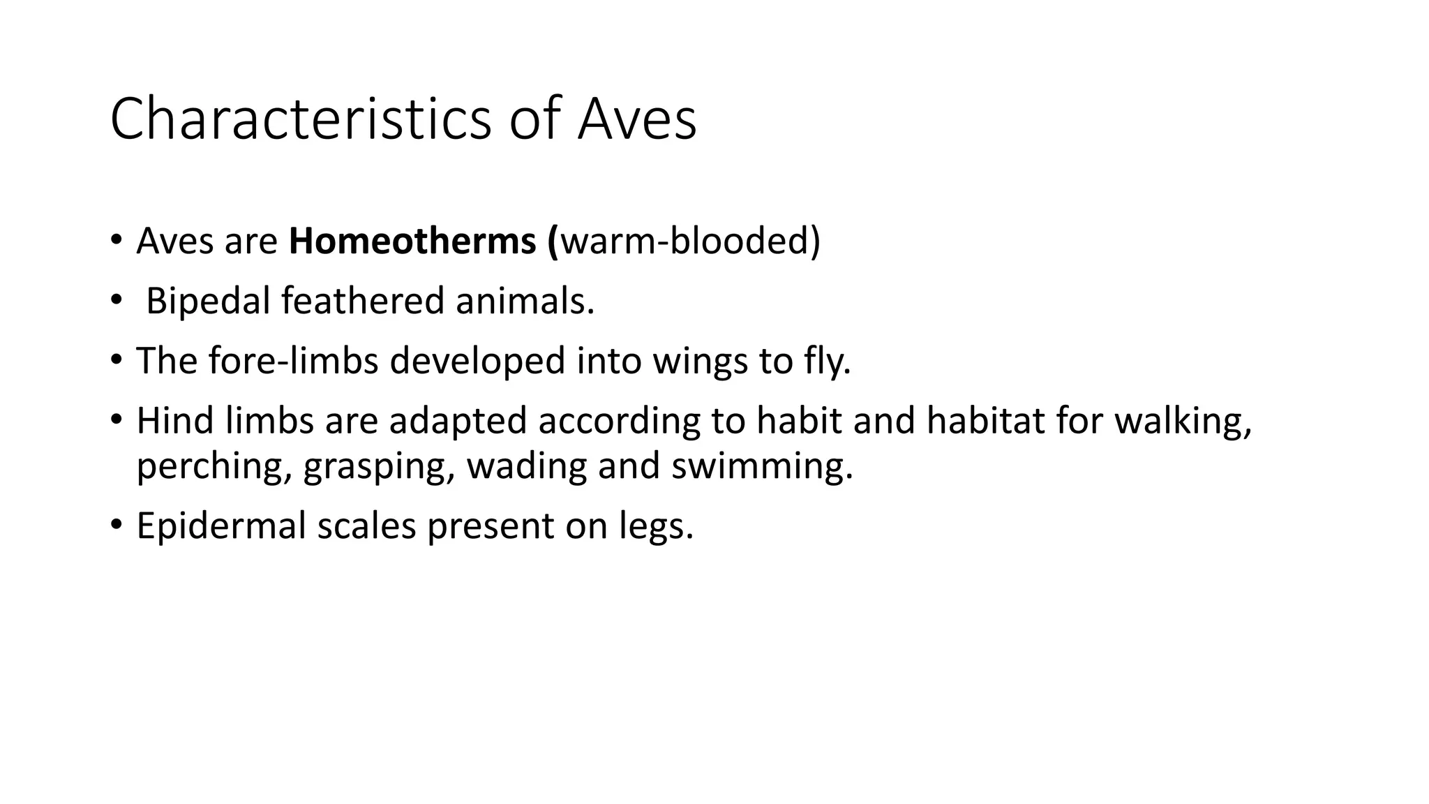 Class: Aves , and Bird Migration | PPTX