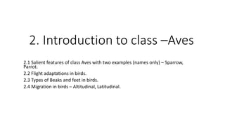 Class: Aves , and Bird Migration | PPTX