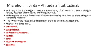 Class: Aves , and Bird Migration | PPTX