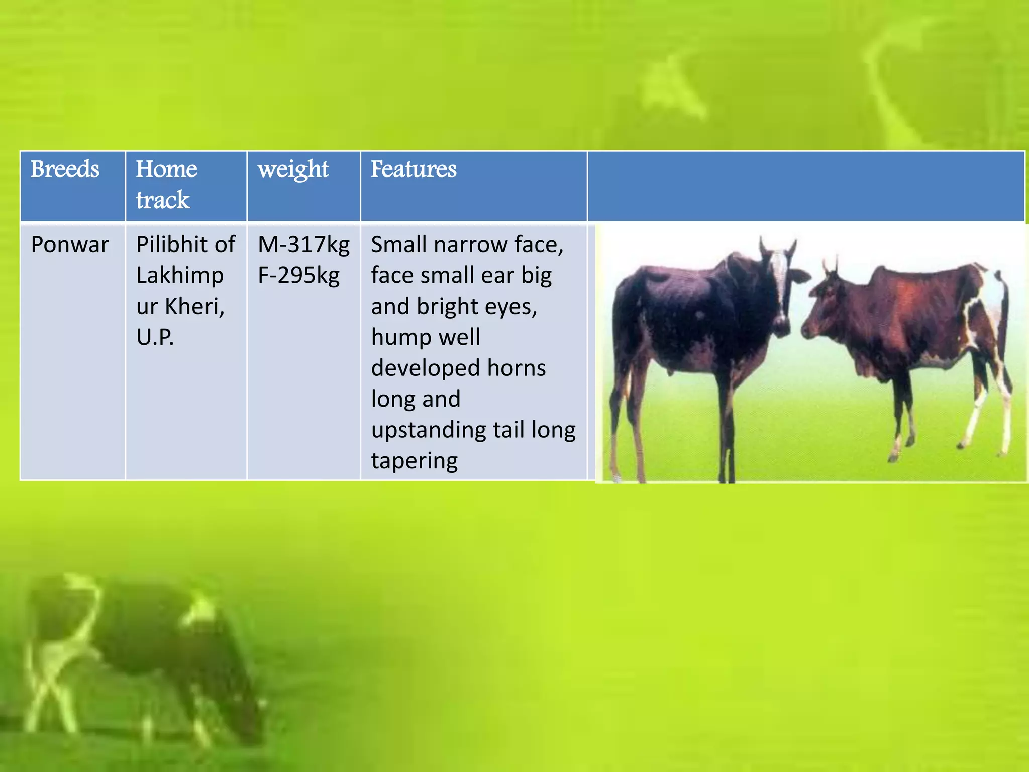 INDIGENOUS AND EXOTIC BREEDS OF LIVESTOCK | PPTX