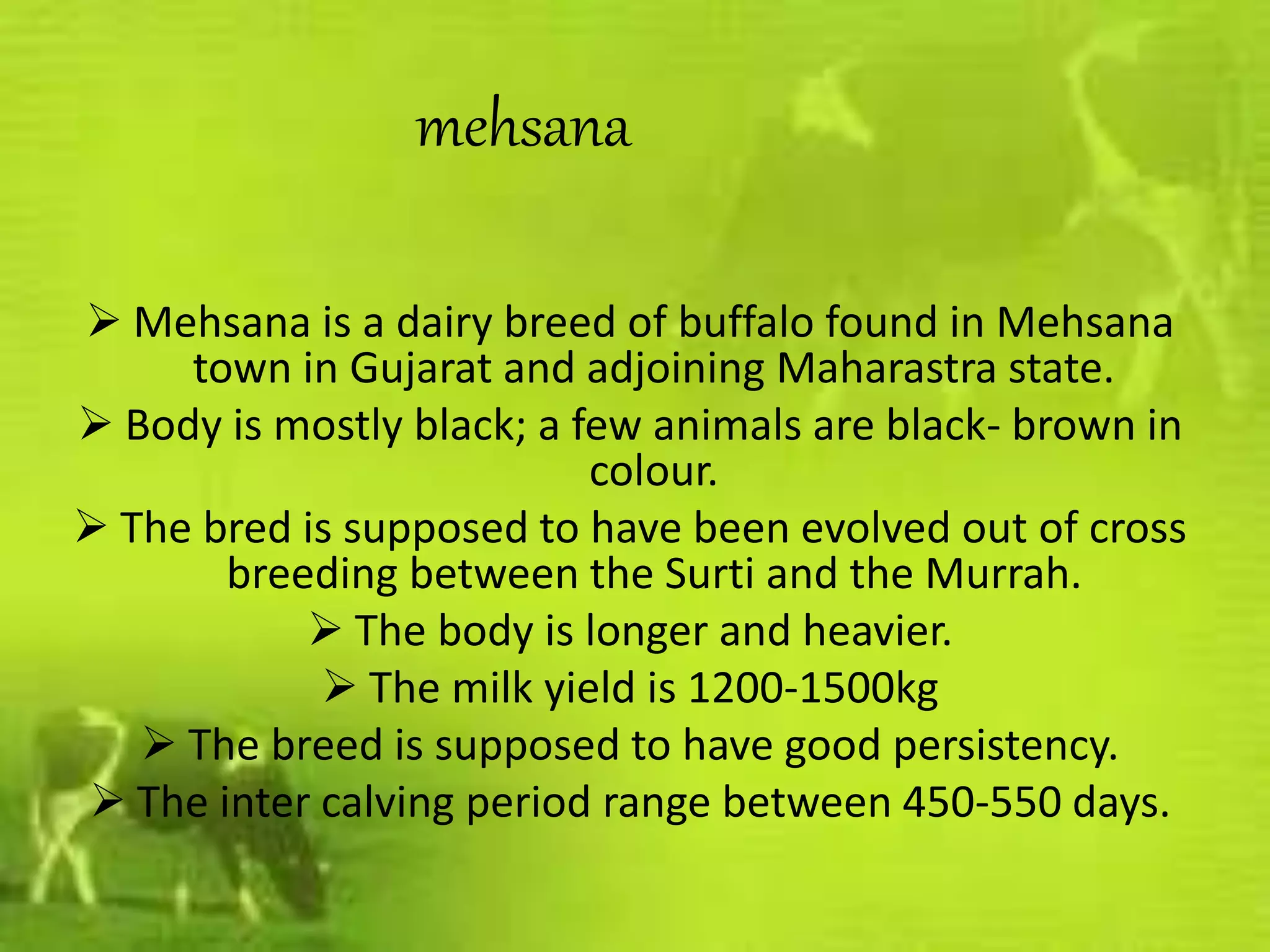 INDIGENOUS AND EXOTIC BREEDS OF LIVESTOCK | PPTX