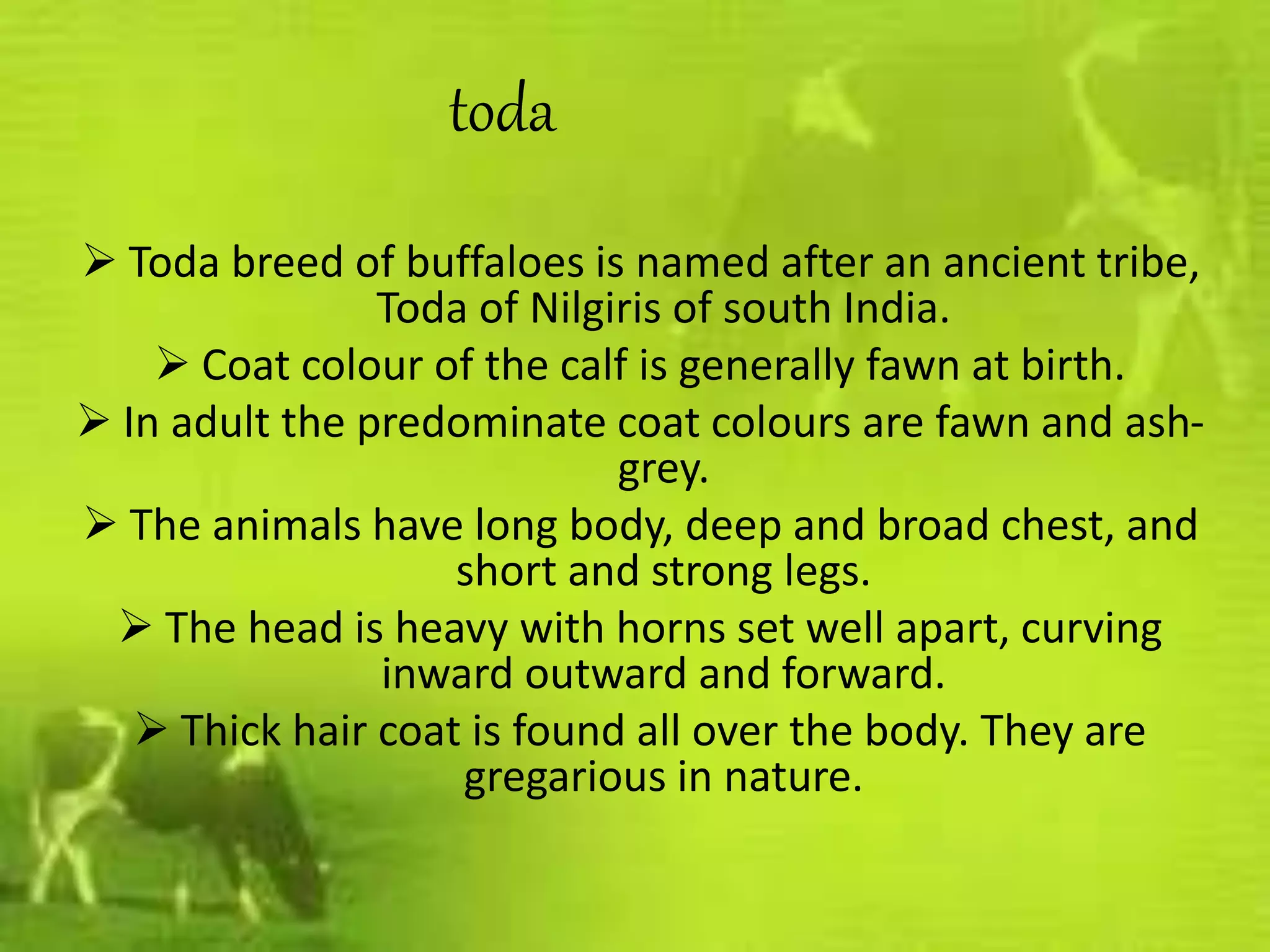 INDIGENOUS AND EXOTIC BREEDS OF LIVESTOCK | PPTX