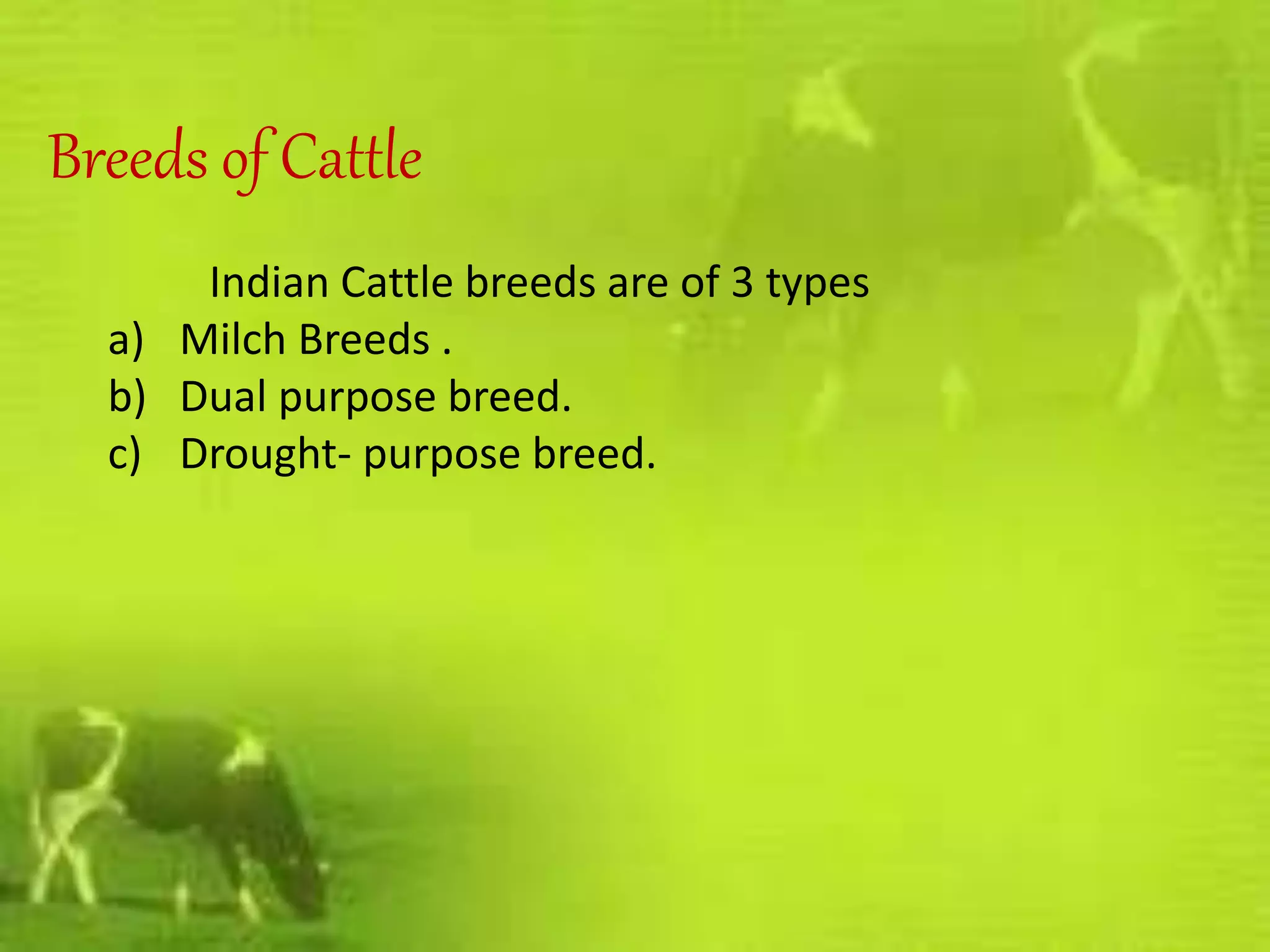 INDIGENOUS AND EXOTIC BREEDS OF LIVESTOCK | PPTX