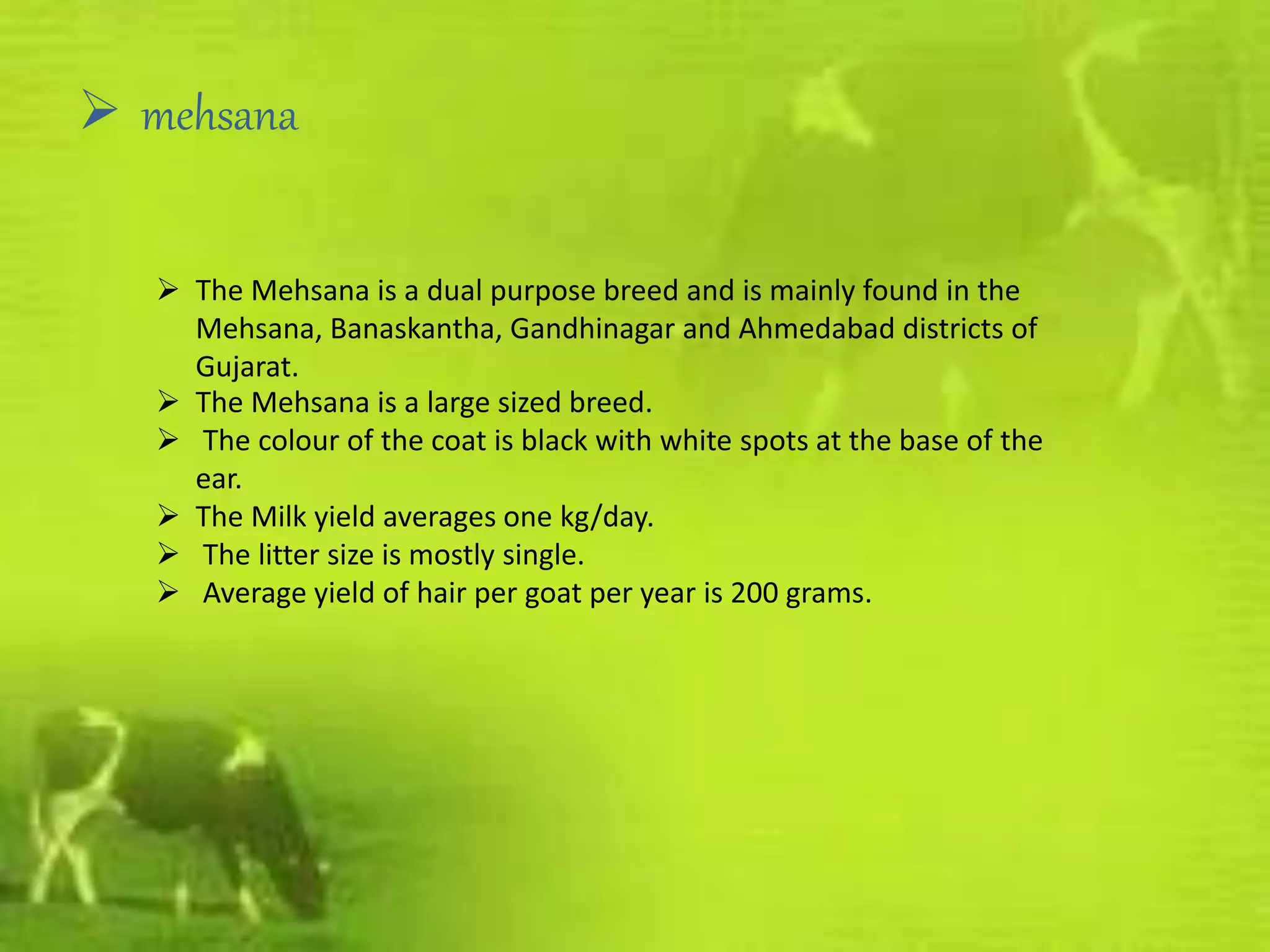 INDIGENOUS AND EXOTIC BREEDS OF LIVESTOCK | PPTX
