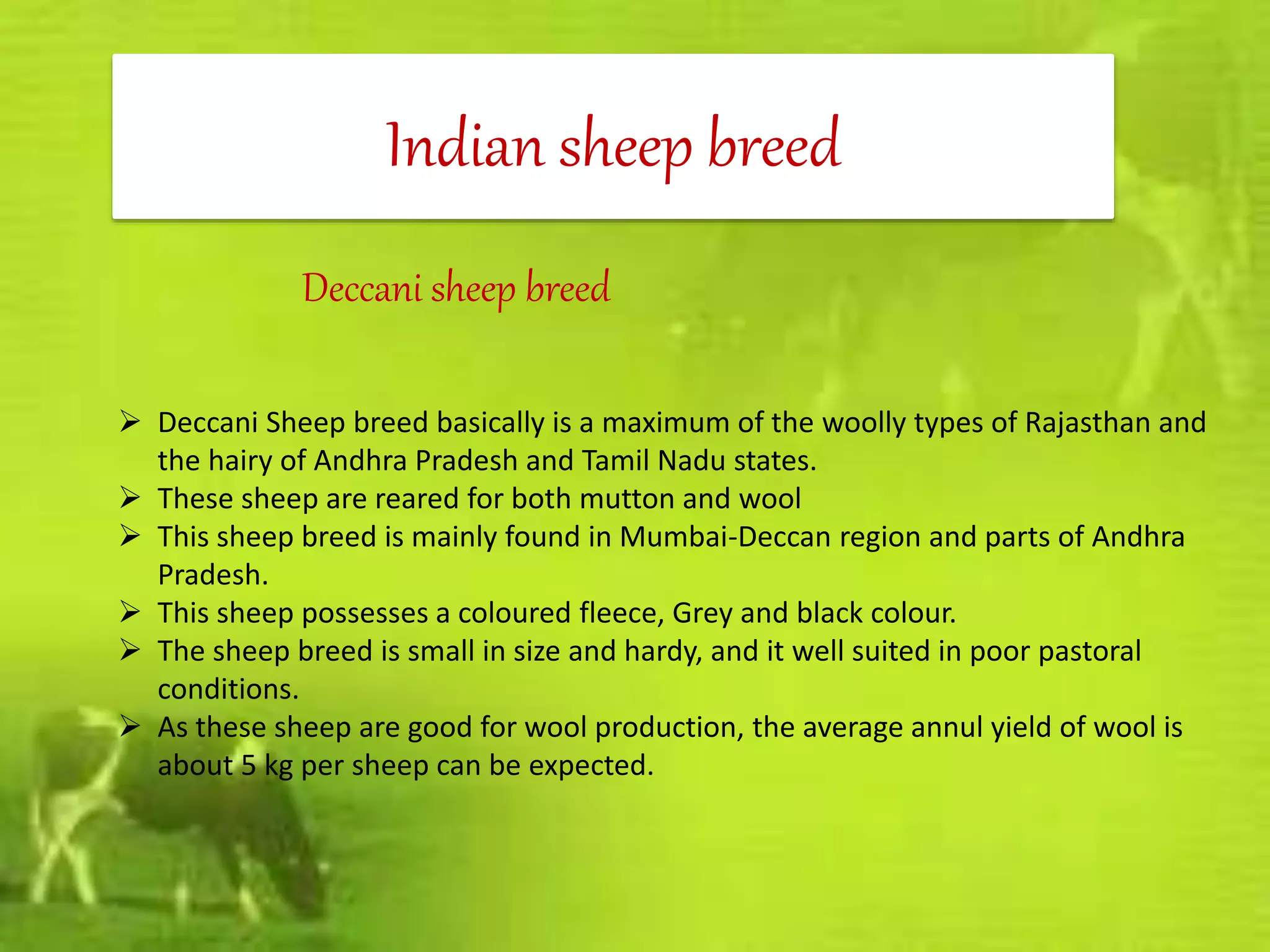 INDIGENOUS AND EXOTIC BREEDS OF LIVESTOCK | PPTX