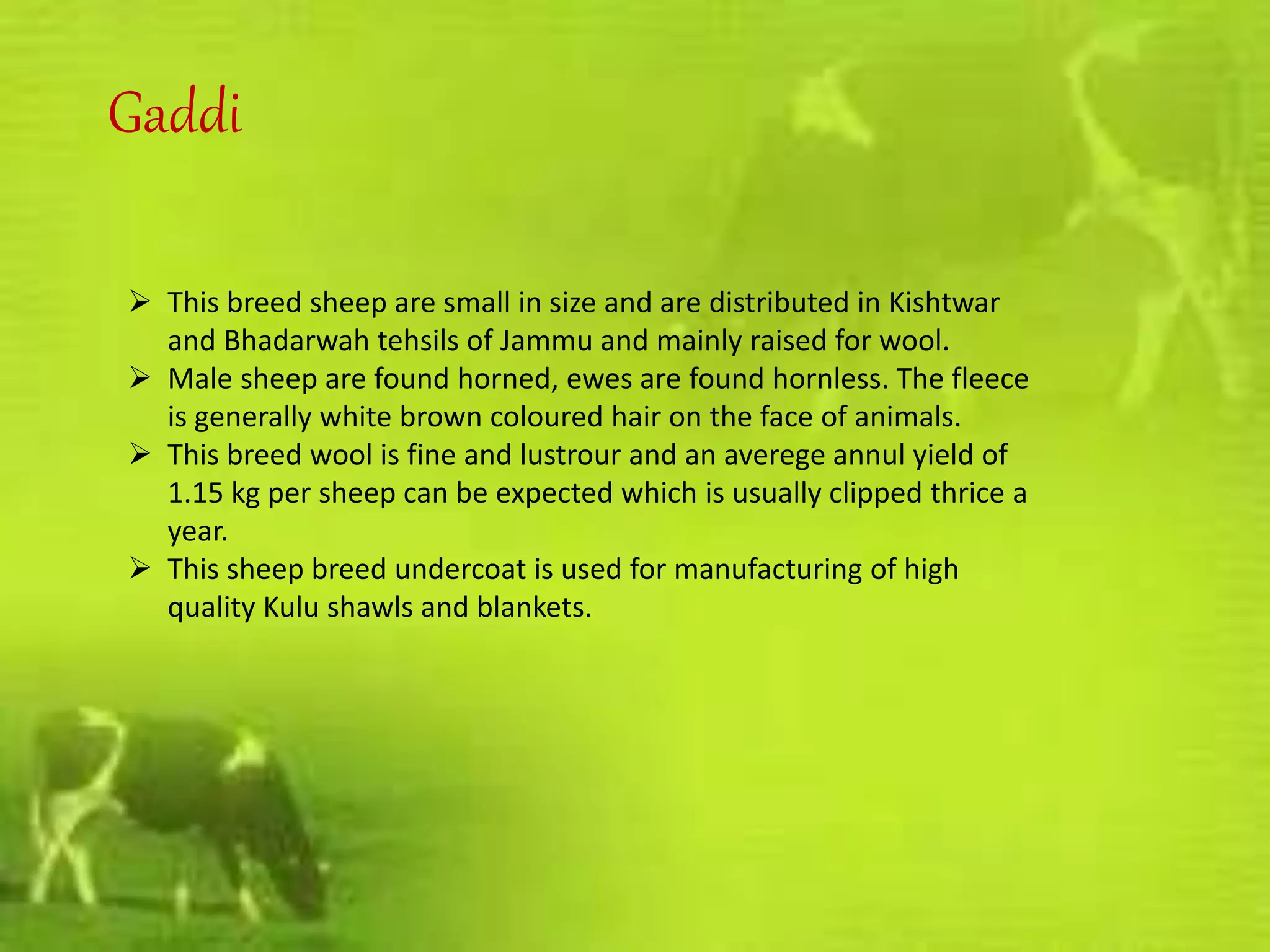 INDIGENOUS AND EXOTIC BREEDS OF LIVESTOCK | PPTX