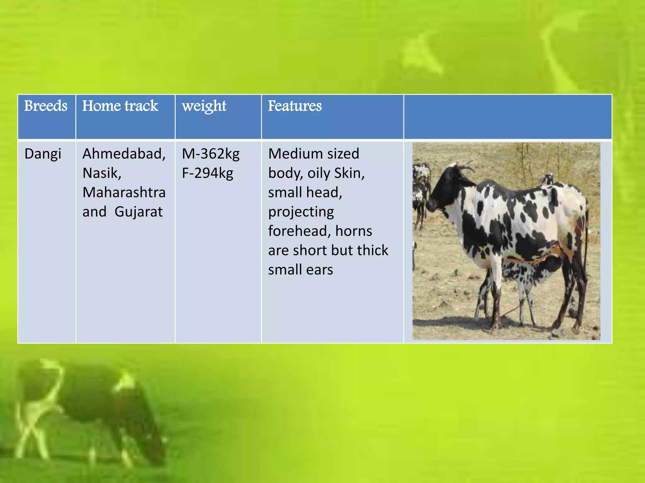 INDIGENOUS AND EXOTIC BREEDS OF LIVESTOCK | PPTX