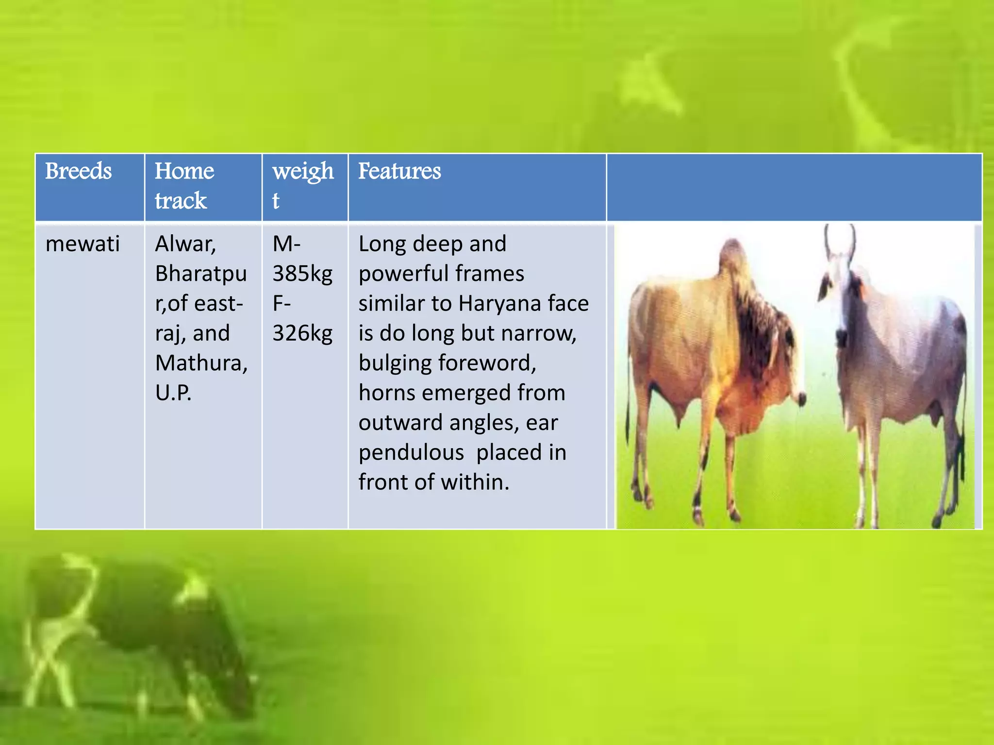 INDIGENOUS AND EXOTIC BREEDS OF LIVESTOCK | PPTX