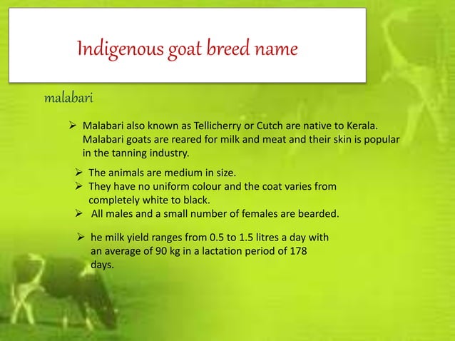 INDIGENOUS AND EXOTIC BREEDS OF LIVESTOCK | PPTX | Track and Field | Sports