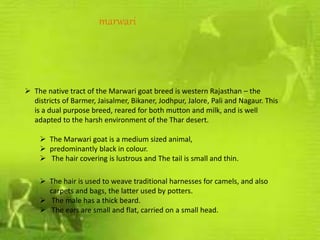 INDIGENOUS AND EXOTIC BREEDS OF LIVESTOCK | PPTX