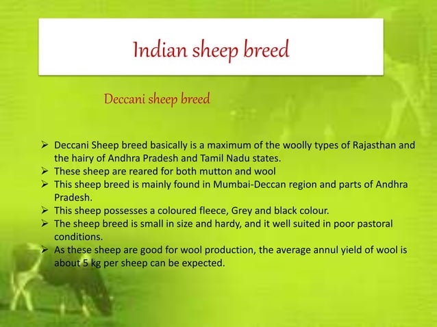 INDIGENOUS AND EXOTIC BREEDS OF LIVESTOCK | PPTX | Track and Field | Sports