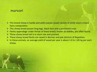 INDIGENOUS AND EXOTIC BREEDS OF LIVESTOCK | PPTX