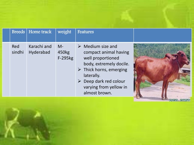 INDIGENOUS AND EXOTIC BREEDS OF LIVESTOCK | PPTX | Track and Field | Sports