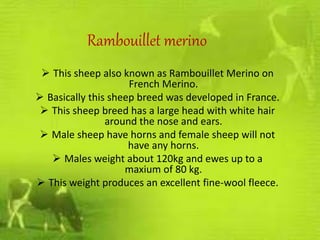 INDIGENOUS AND EXOTIC BREEDS OF LIVESTOCK | PPTX