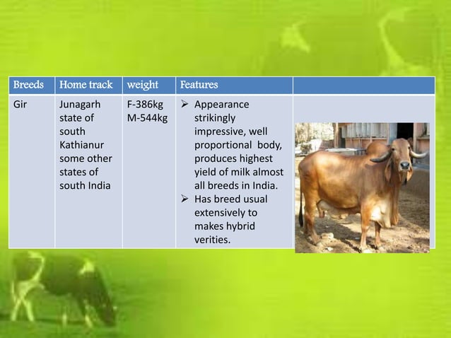 INDIGENOUS AND EXOTIC BREEDS OF LIVESTOCK | PPTX | Track and Field | Sports
