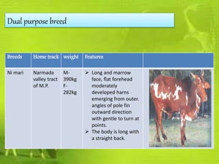 INDIGENOUS AND EXOTIC BREEDS OF LIVESTOCK | PPTX