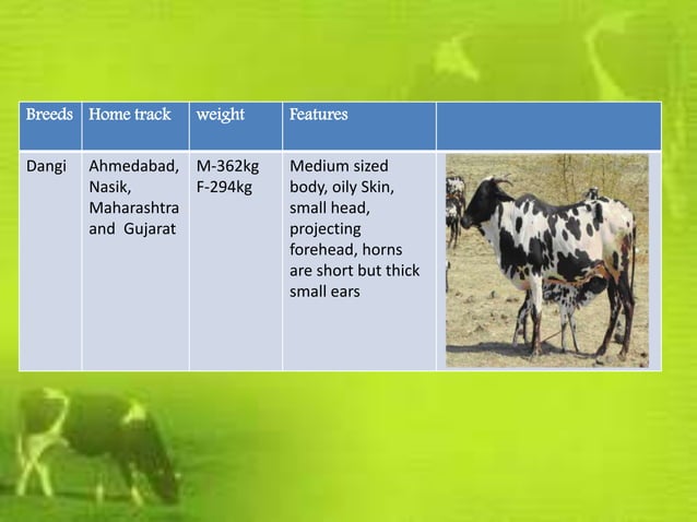 INDIGENOUS AND EXOTIC BREEDS OF LIVESTOCK | PPTX | Track and Field | Sports