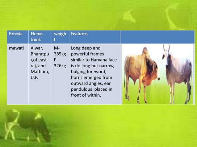 INDIGENOUS AND EXOTIC BREEDS OF LIVESTOCK | PPTX | Track and Field | Sports