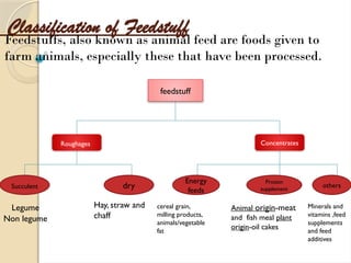 Classification of feedstuffs, proximate principle of feedstuffs | PPTX