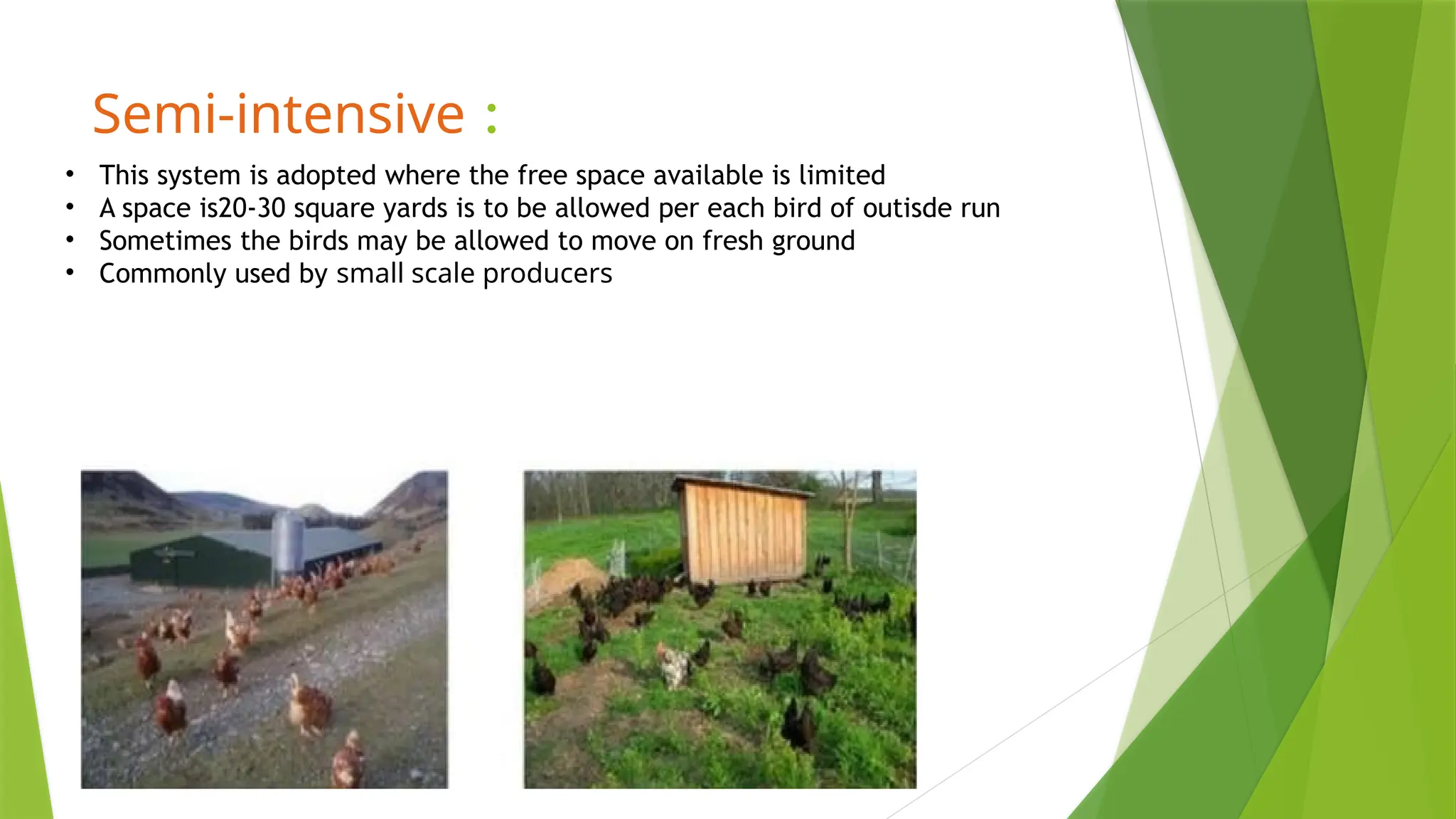 Housing Principles of Livestock and Poultry, Space requirements | PPTX