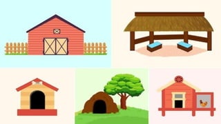Housing Principles of Livestock and Poultry, Space requirements | PPTX
