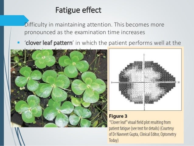 AVF by suraj chhetri
