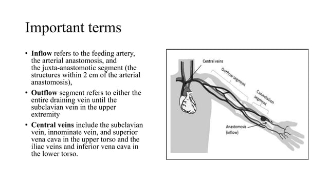 Arterio-Venous Access examination | PPTX
