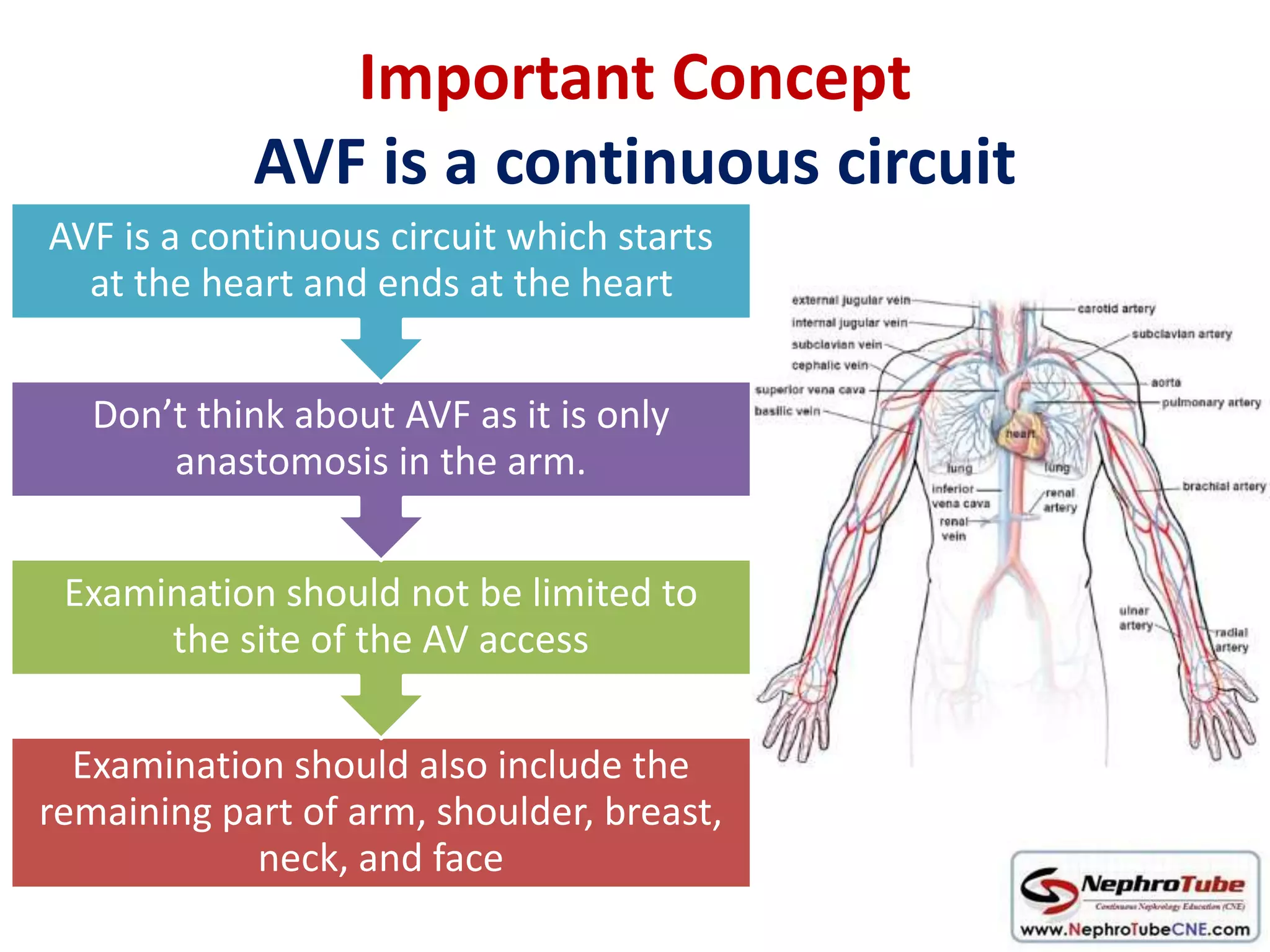 How to examine AVF in 10 minutes - Dr. Gawad | PPTX