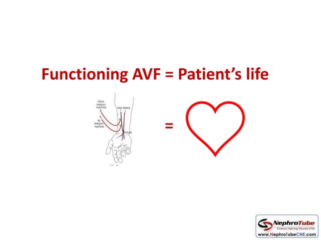 How to examine AVF in 10 minutes - Dr. Gawad | PPTX | Blood Disorders ...
