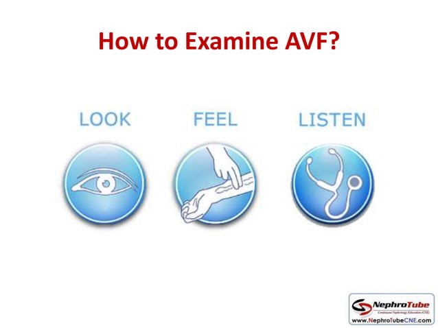 How to examine AVF in 10 minutes - Dr. Gawad | PPTX | Blood Disorders ...