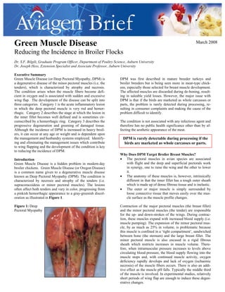 AviagenBrief reducing incidents of Green_Muscle.pdf