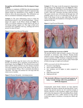 AviagenBrief reducing incidents of Green_Muscle.pdf