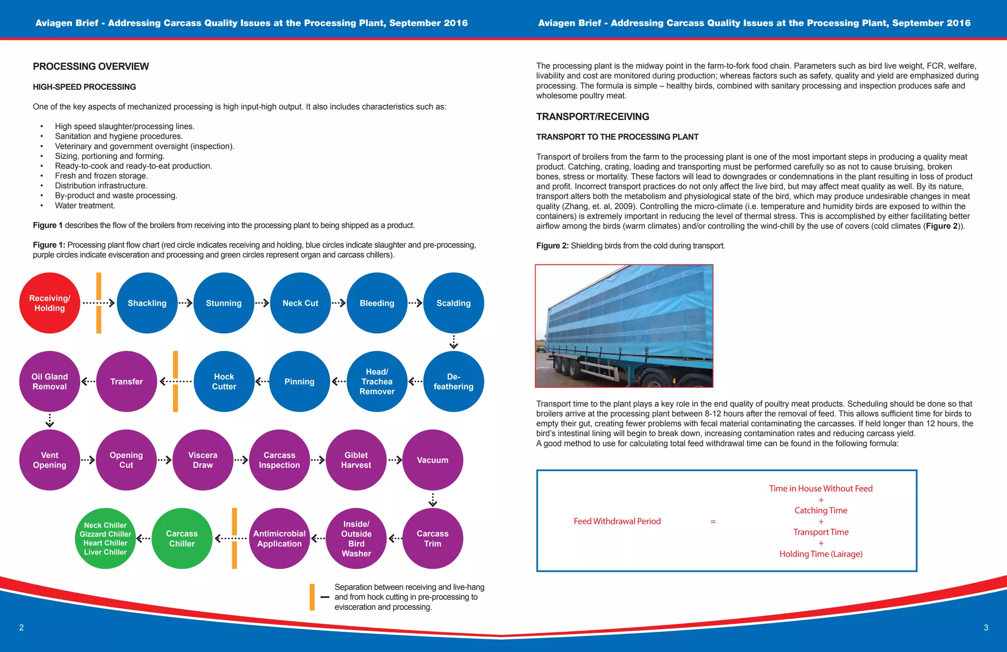 Aviagen brielf addressing-carcass-quality-issues-at-processing-plant ...