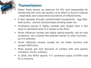 Avian fluenza virus | PPT