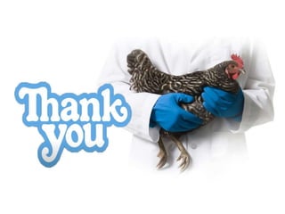 Avian fluenza virus | PPTX