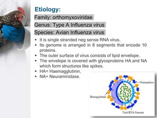 Avian fluenza virus | PPTX
