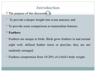 Avian Anatomy Ppt.pptxfasgdg namaste namaste | PPTX