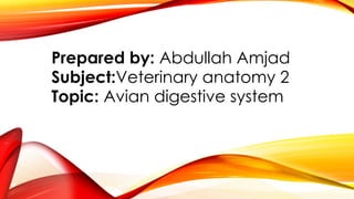Anatomy of avian digestive system(chicken) | PPTX