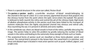 AVIAN ANATOMY HISTOLOGY AND GROSS 1.pptx