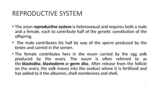 AVIAN ANATOMY HISTOLOGY AND GROSS 1.pptx