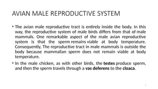 AVIAN ANATOMY HISTOLOGY AND GROSS 1.pptx