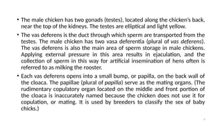 AVIAN ANATOMY HISTOLOGY AND GROSS 1.pptx
