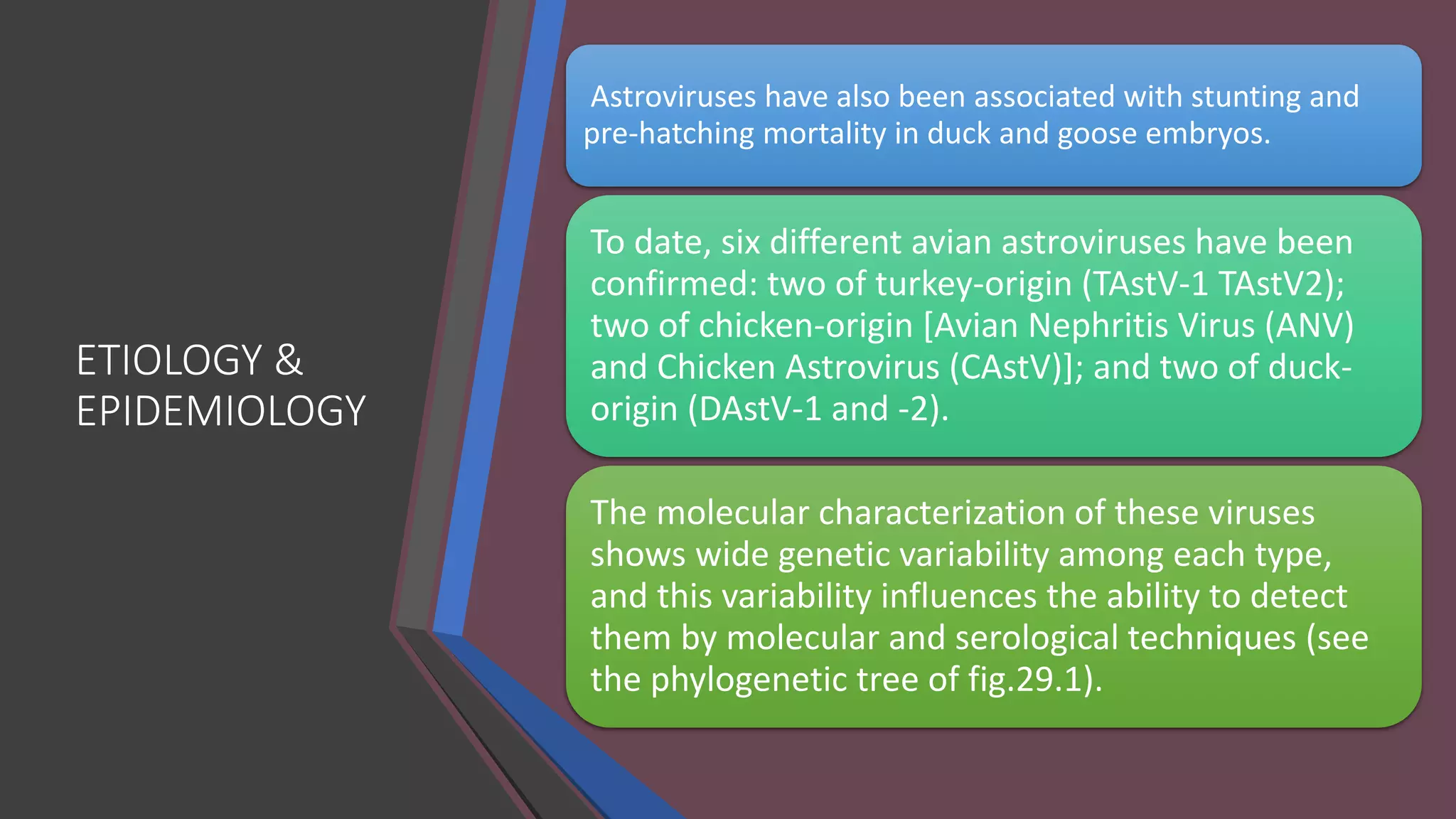 Avian astrovirus | PDF