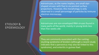 Avian astrovirus | PDF